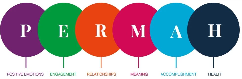 6 PERMAH Pillars of Wellbeing - Helen Gray